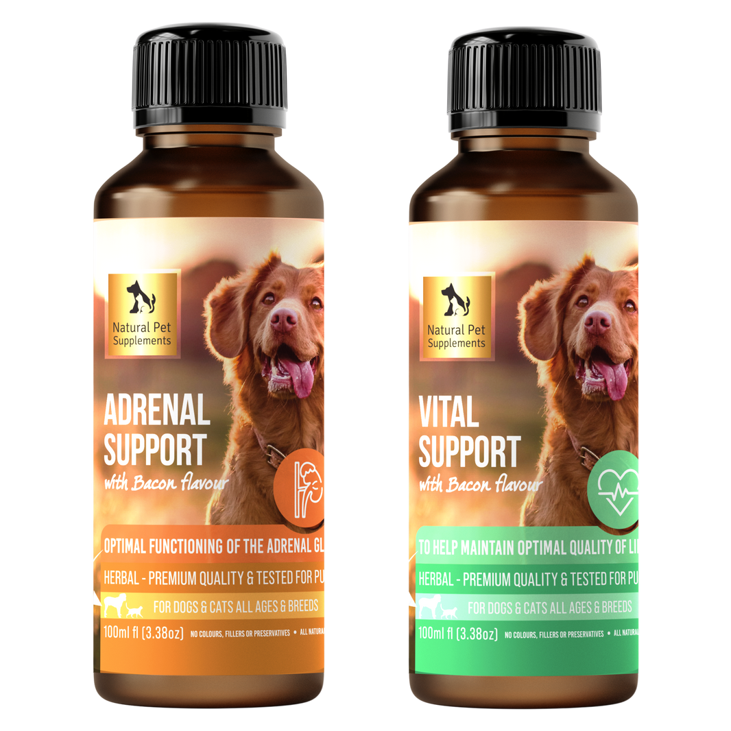 Pet Advice, Products & Vet Help | Bondi Vet Australia